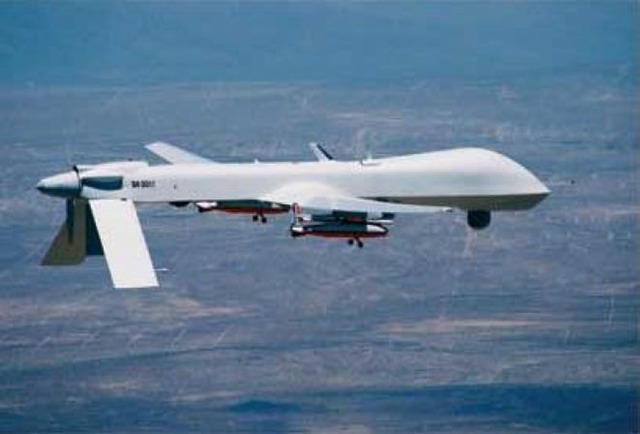 Predator and Finder | Simi Valley Flyers | Bill Luckie